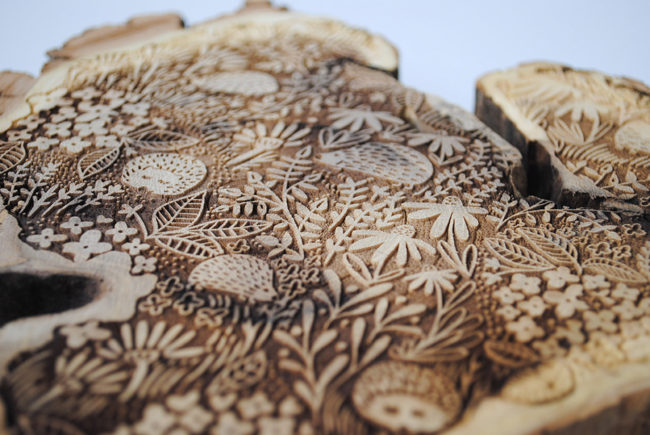 Laser etched wood Collection by Zoe Feast
